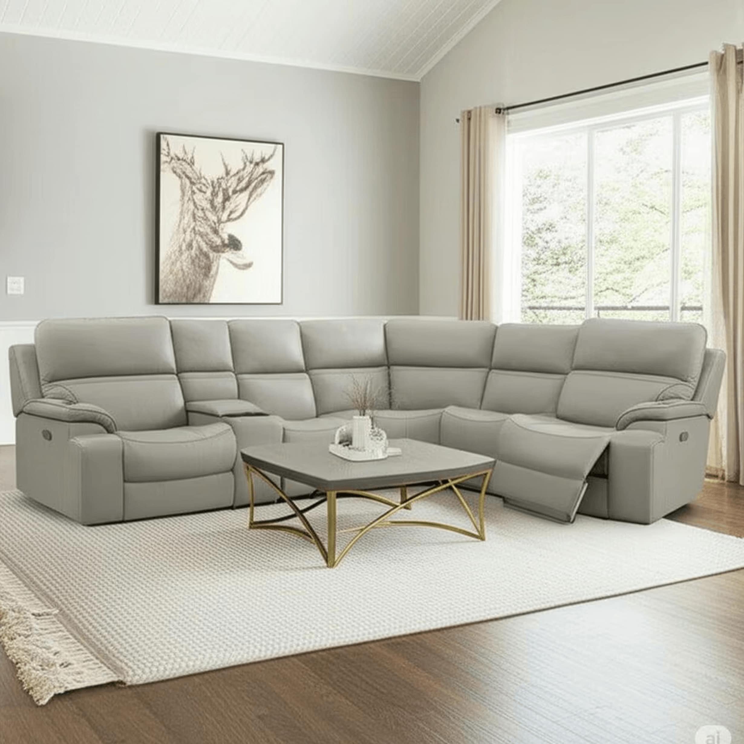 Reclining Furniture