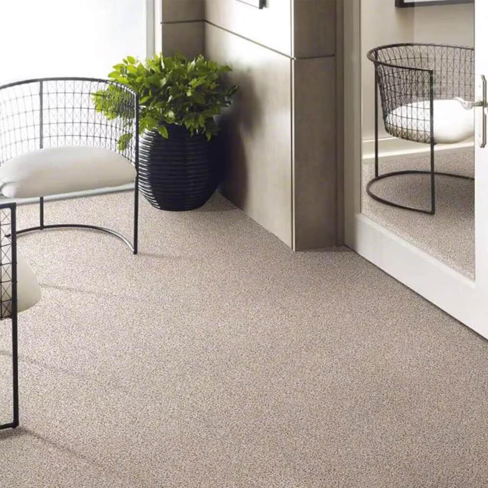 Carpet & Carpet Tile | NFM