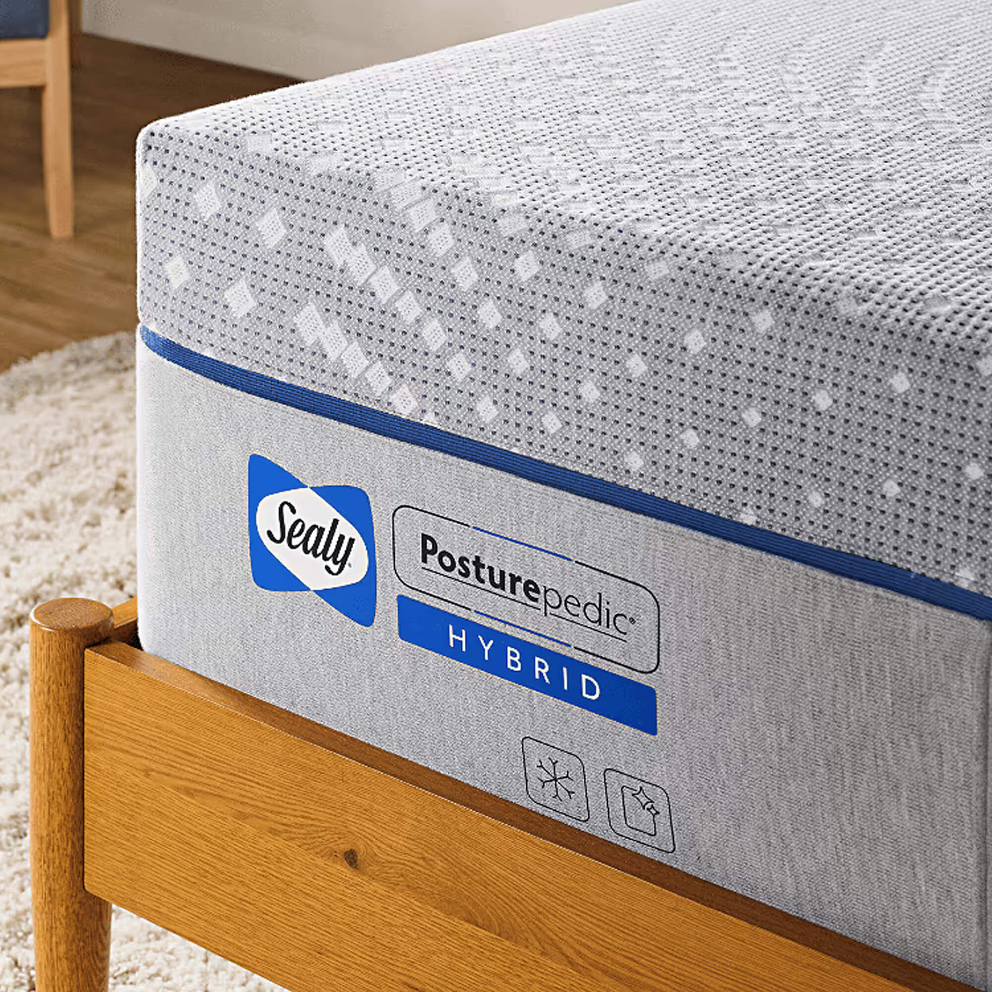 Shop All Mattresses King Queen Full Twin More NFM