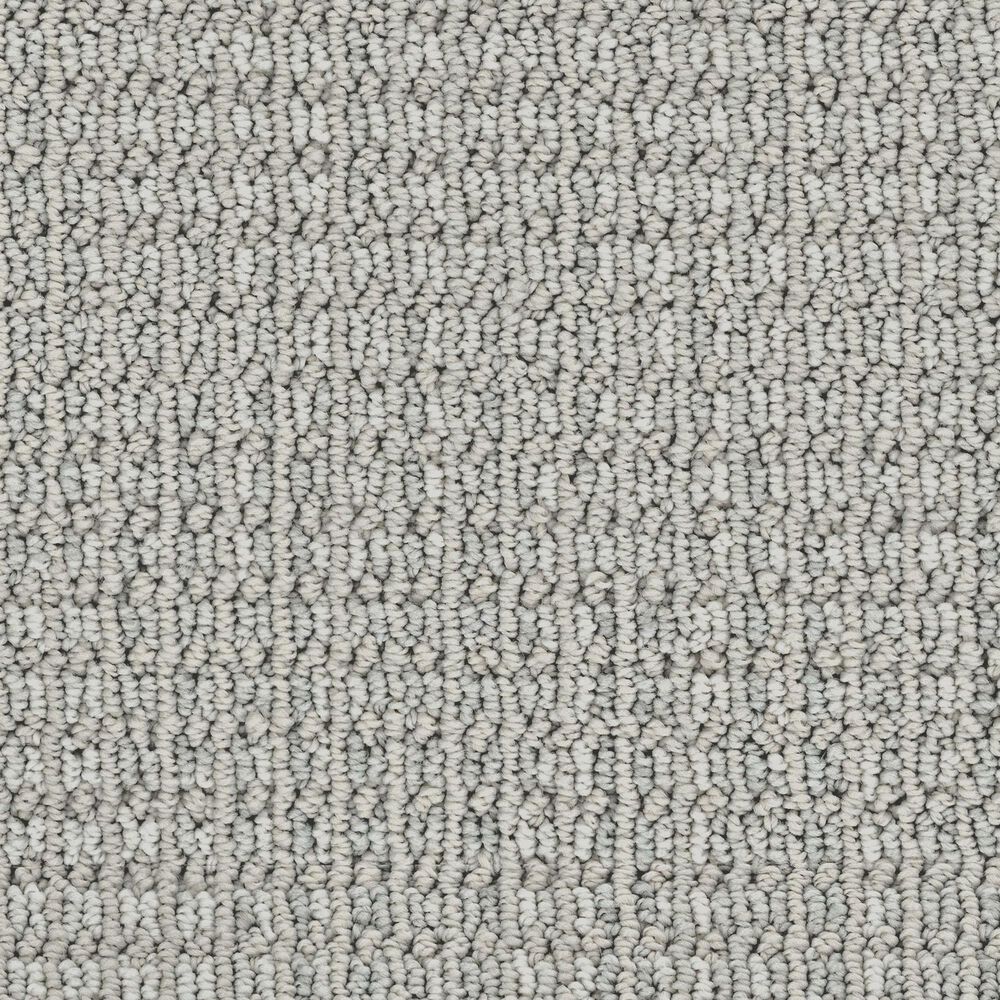 Dixie Home Oasis Carpet in Intuitive