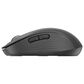 Logitech Signature M650 L Wireless Mouse in Graphite | NFM