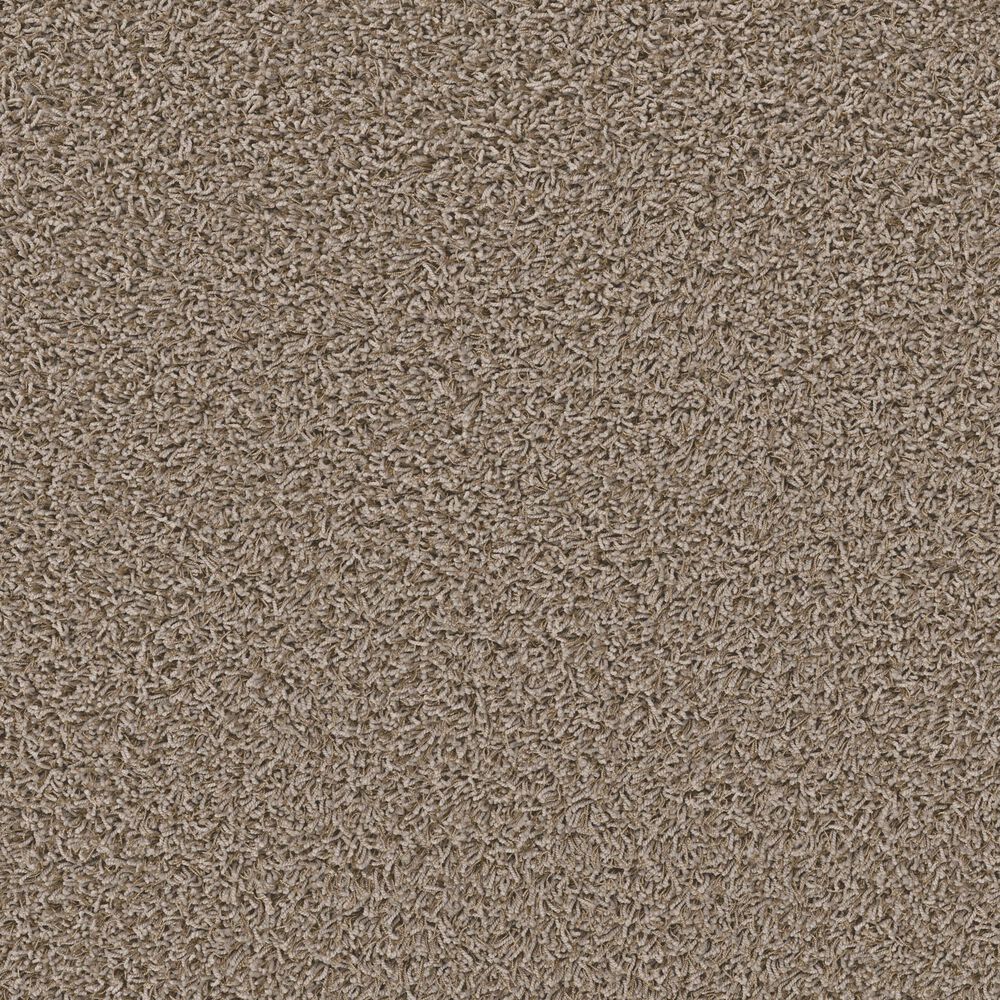 Anderson Tuftex Hello Beautiful Carpet in Versatile | NFM