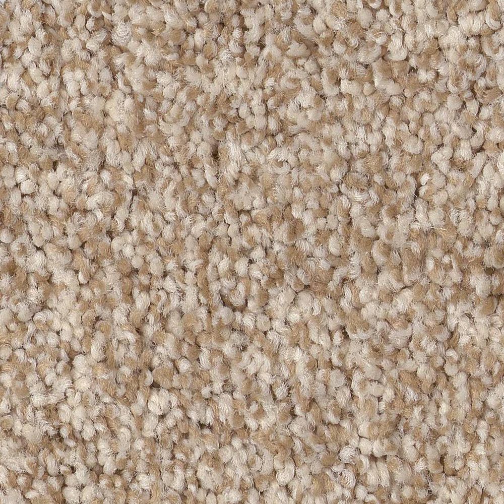 Anderson Tuftex Terra Nova Carpet in Beach Grass | Shop NFM