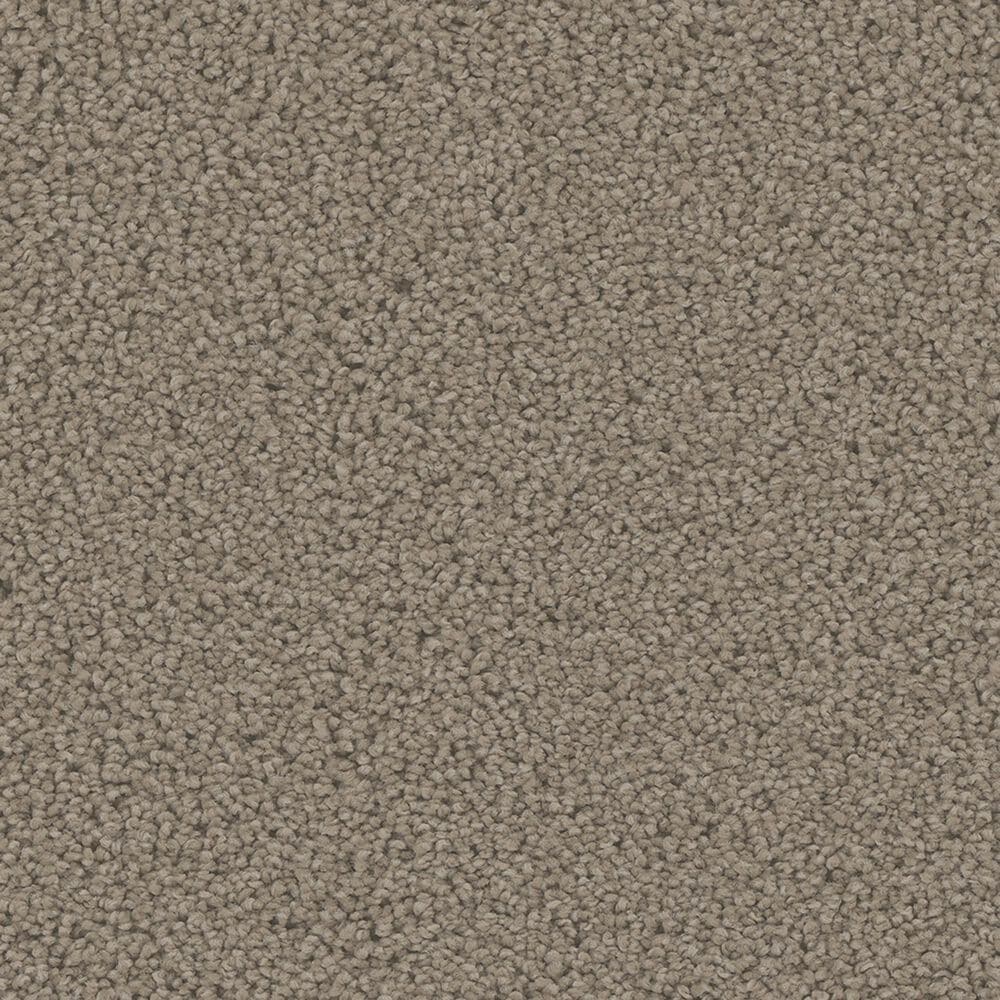 Phenix Carpet Mateo Carpet in Luxury | Shop NFM