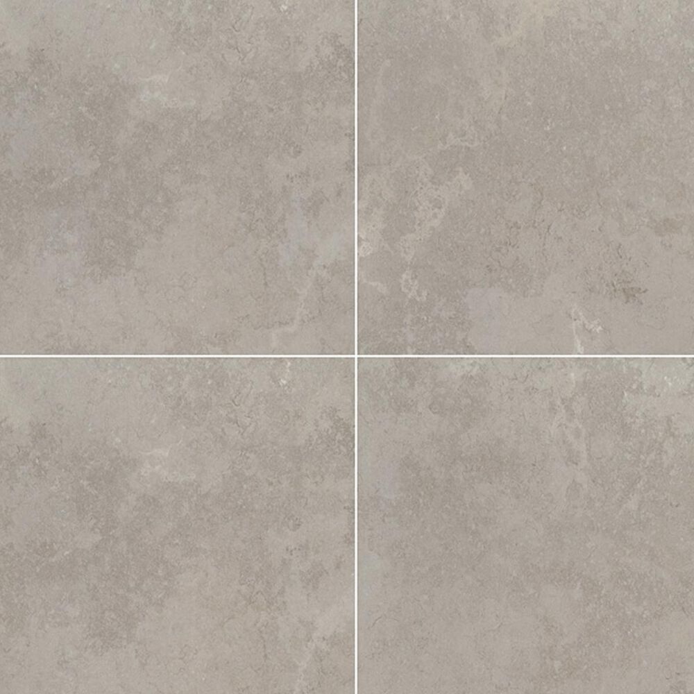MS International Tempest Grey 12" x 24" Ceramic Tile | NFM