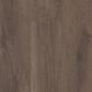 COREtec Plus Grande Willis Oak 9" x 82" Vinyl Plank | Shop NFM