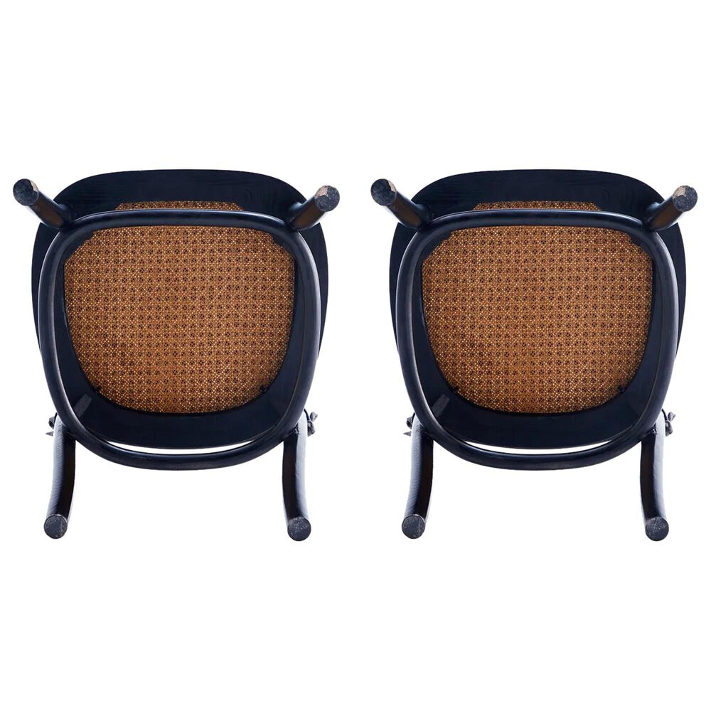 Dayton Paragon 1.0 Side Chair in Black and Natural (Set of 2) | NFM