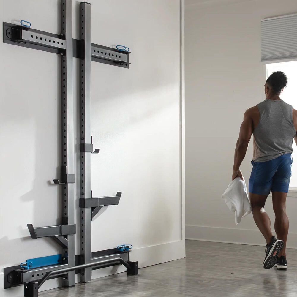ProForm Carbon Strength Foldable Wall Rack in Black, Gray and Blue ...