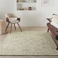 Nourison Colorado 3'9" x 5'9" Beige and Grey Area Rug | NFM