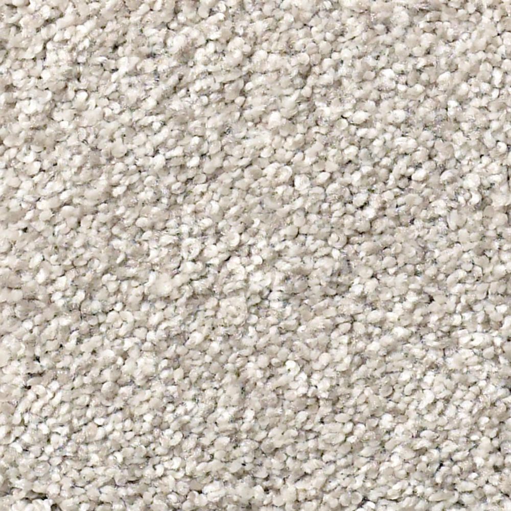 Shaw Find Your Comfort TT II Carpet in Chill in The Air | NFM