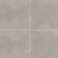 MS International Tempest Grey 12" x 24" Ceramic Tile | NFM