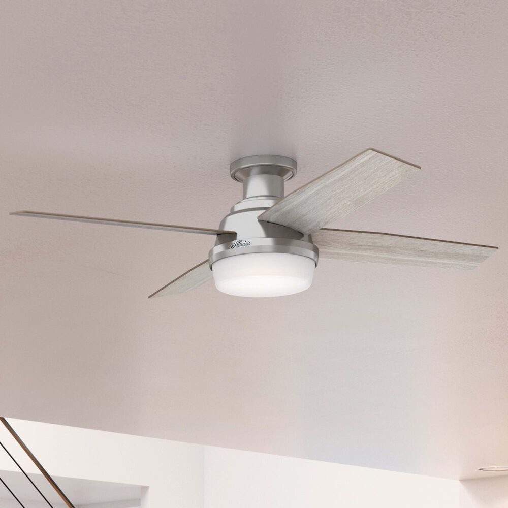 Hunter Dempsey Low Profile 52" Ceiling Fan with Light Gray Oak Blades ...