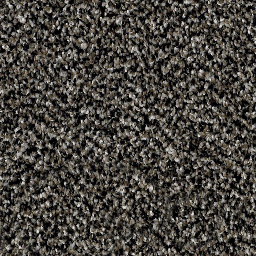 Shaw Work The Color Net Carpet in Black Granite | NFM