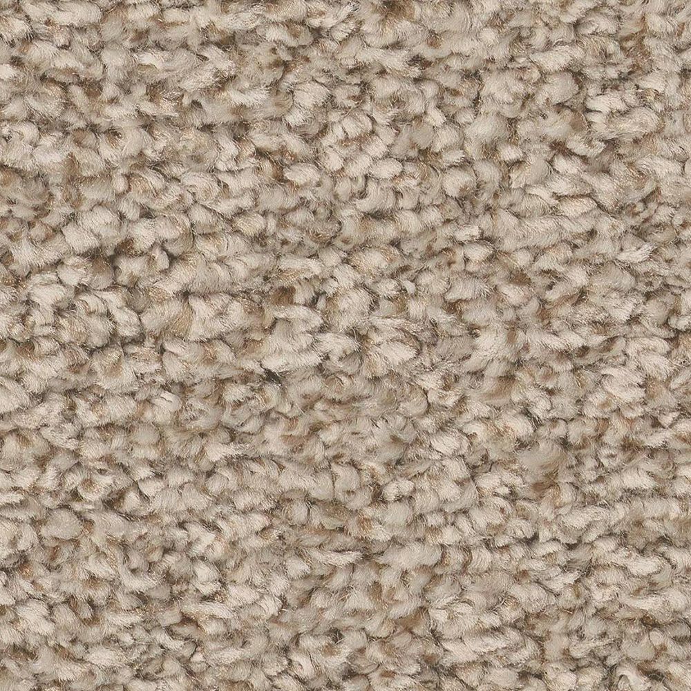 Philadelphia Ultra Lush Carpet in Bare Essential | Shop NFM