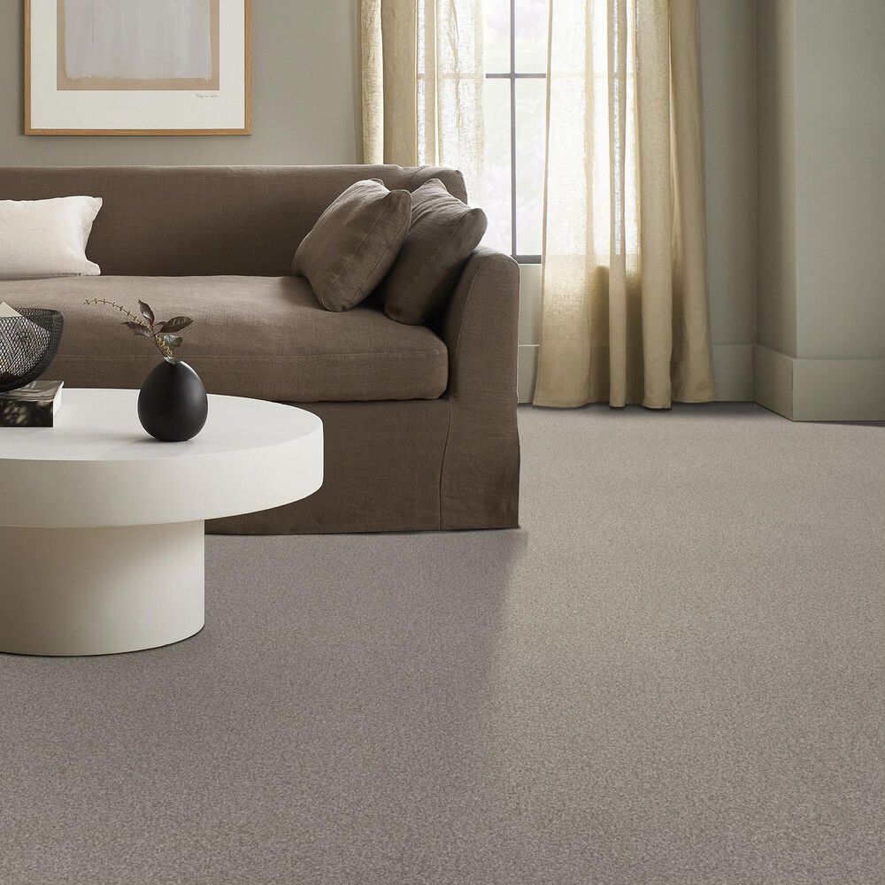 Anderson Tuftex Terra Nova Carpet in Misty Dawn | Shop NFM
