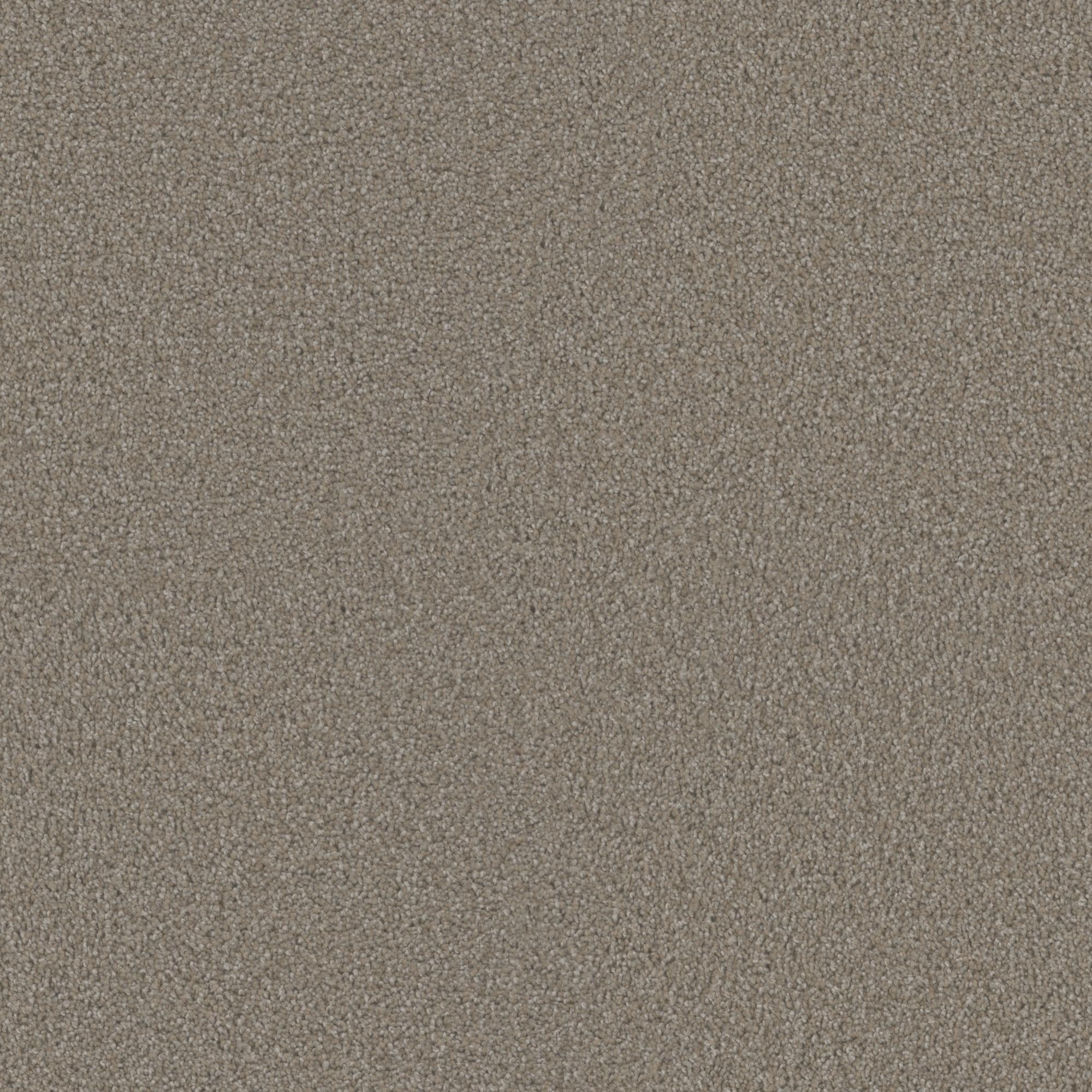Phenix Carpet El Dorado Carpet in Cloudland | NFM