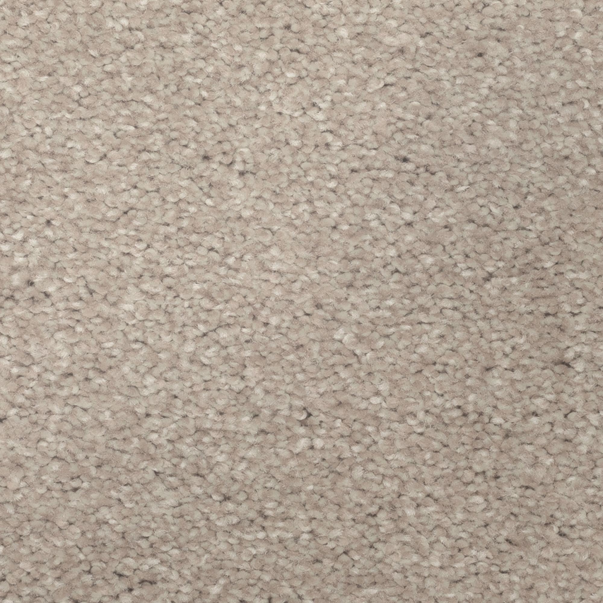 Mohawk Quality Feeling Carpet in Quiet Light