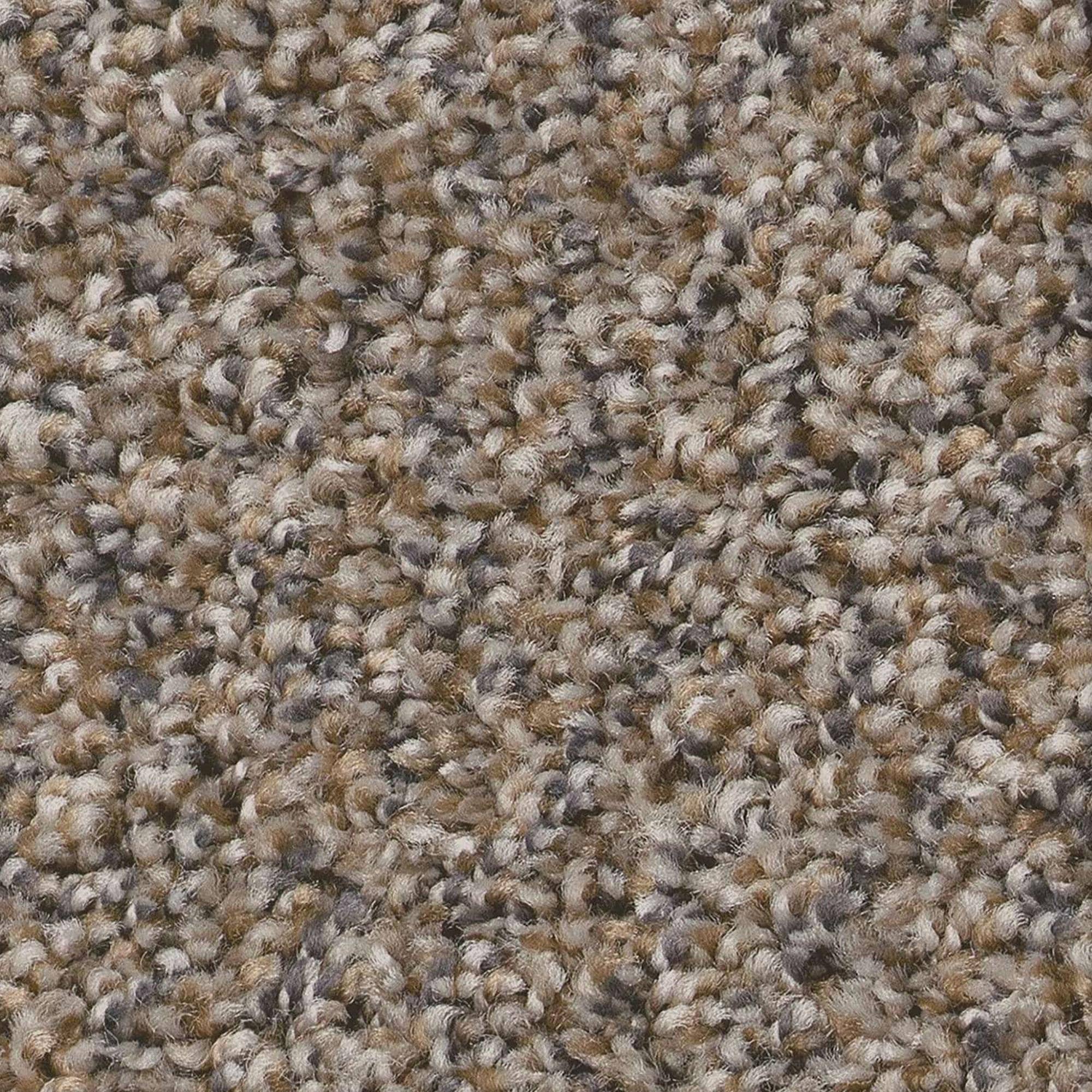 Shaw Always Right II Carpet in Goose Feather