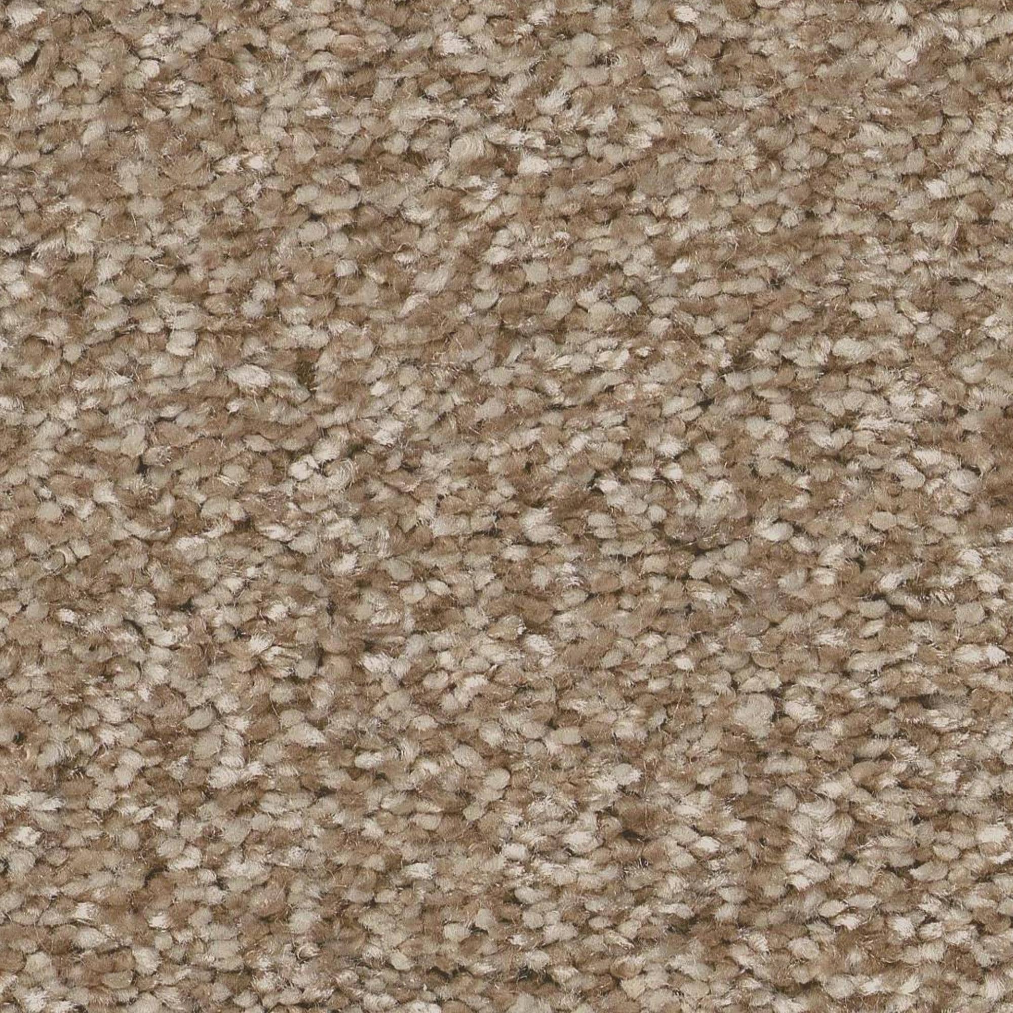 Shaw You Got This III Carpet in Warn Path