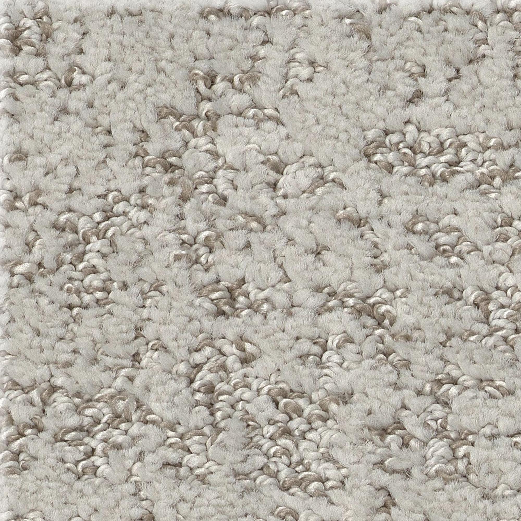 Shaw Home Within Carpet in Frozen