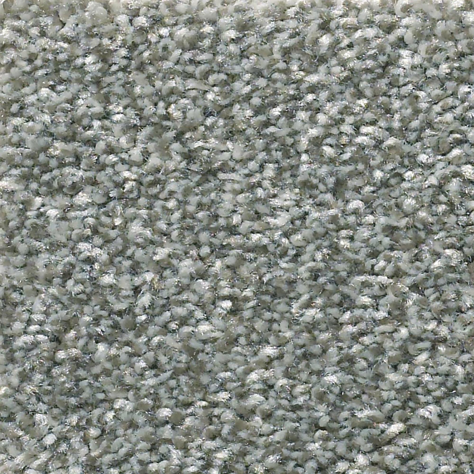 Shaw Simply the Best Attainable Carpet in Arctic Shadow