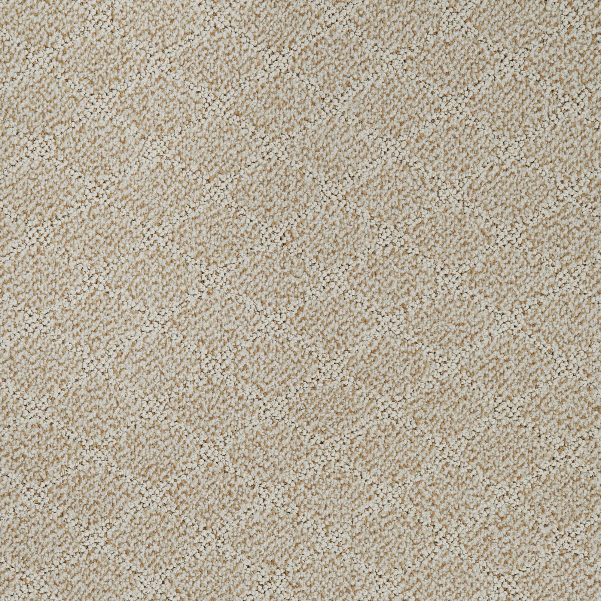 Dixie Home Culture Carpet in Frolic