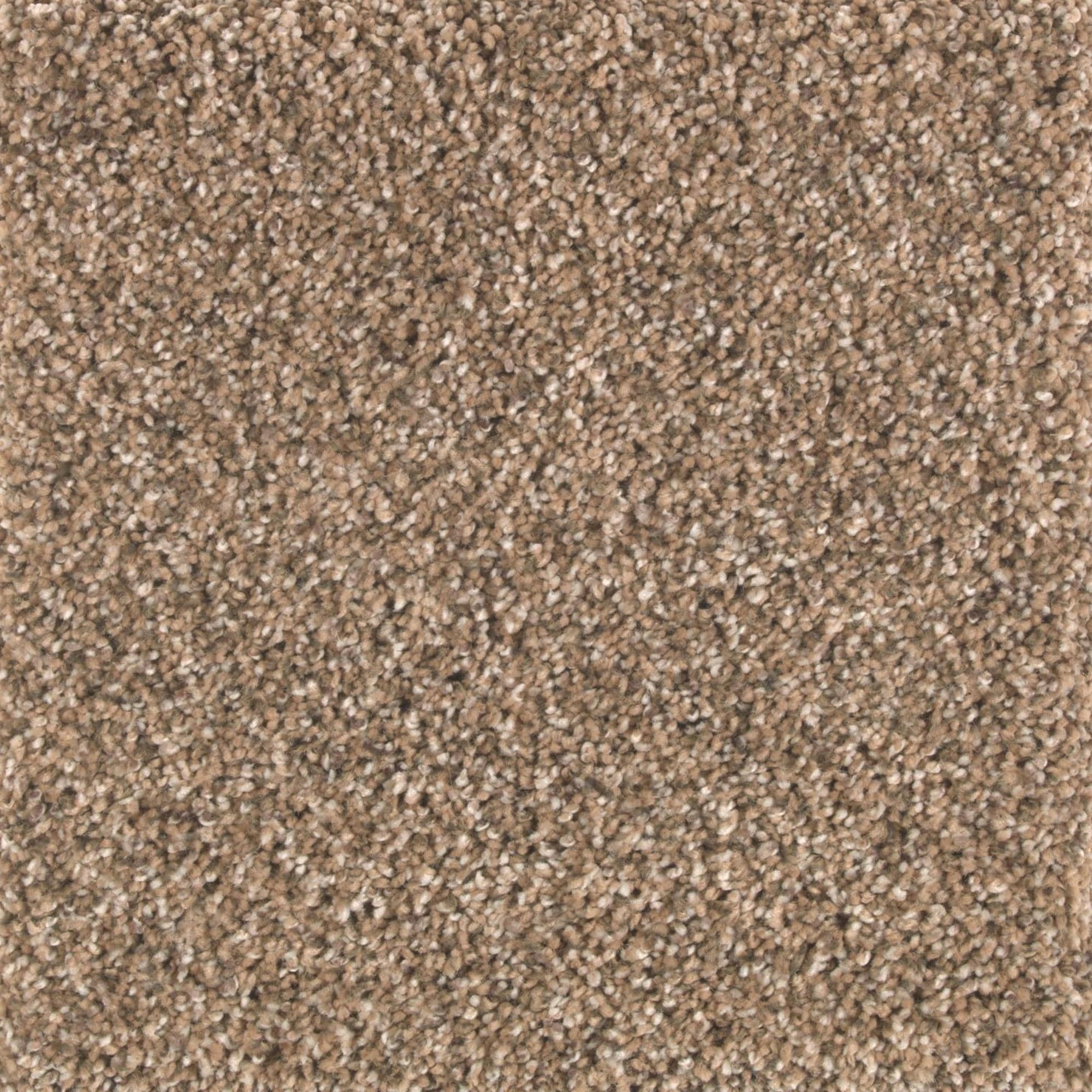 Mohawk Nature's Elegance Carpet in Carpet in Autumn Brown | NFM