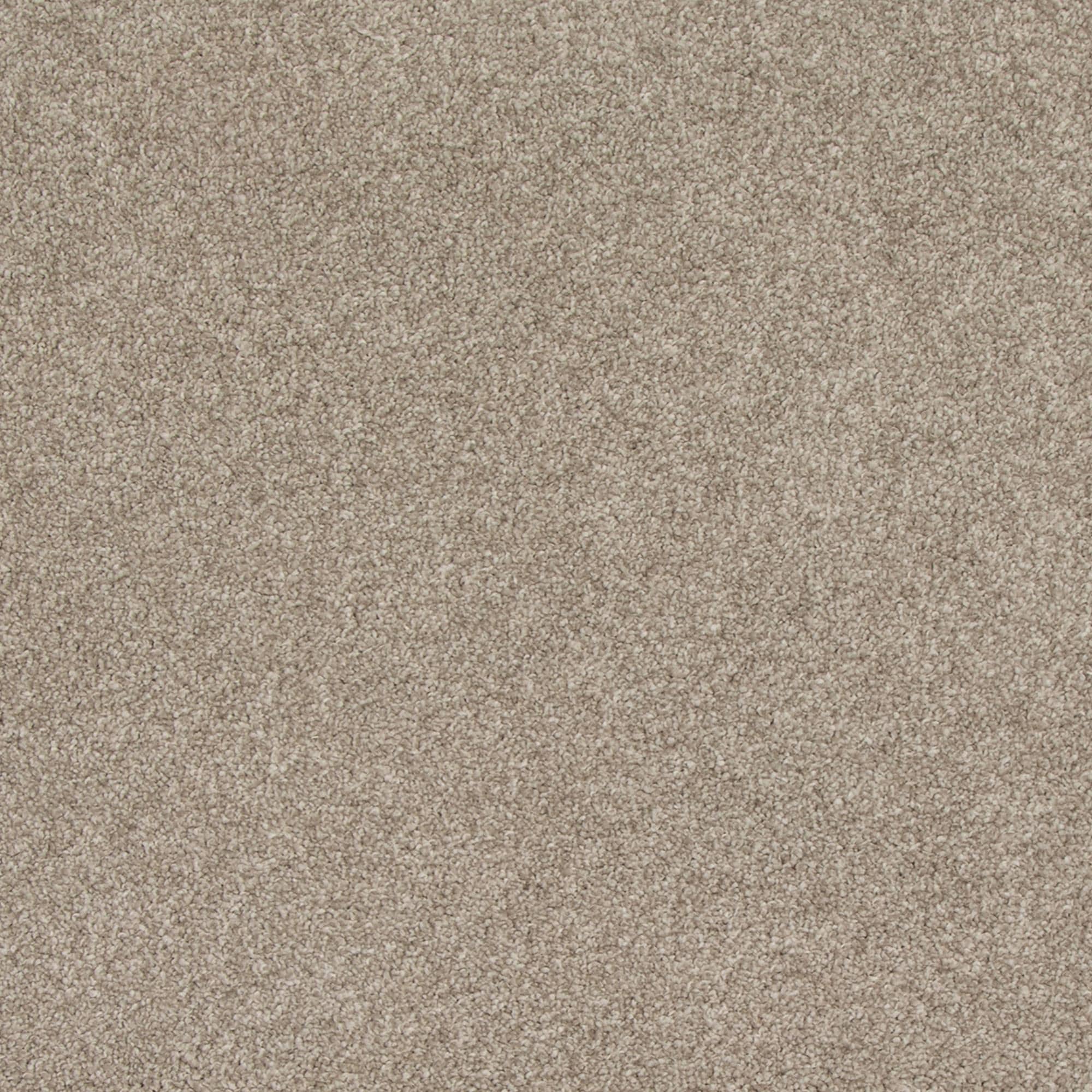 Mohawk Refined Saga II Carpet in Dusky Willow