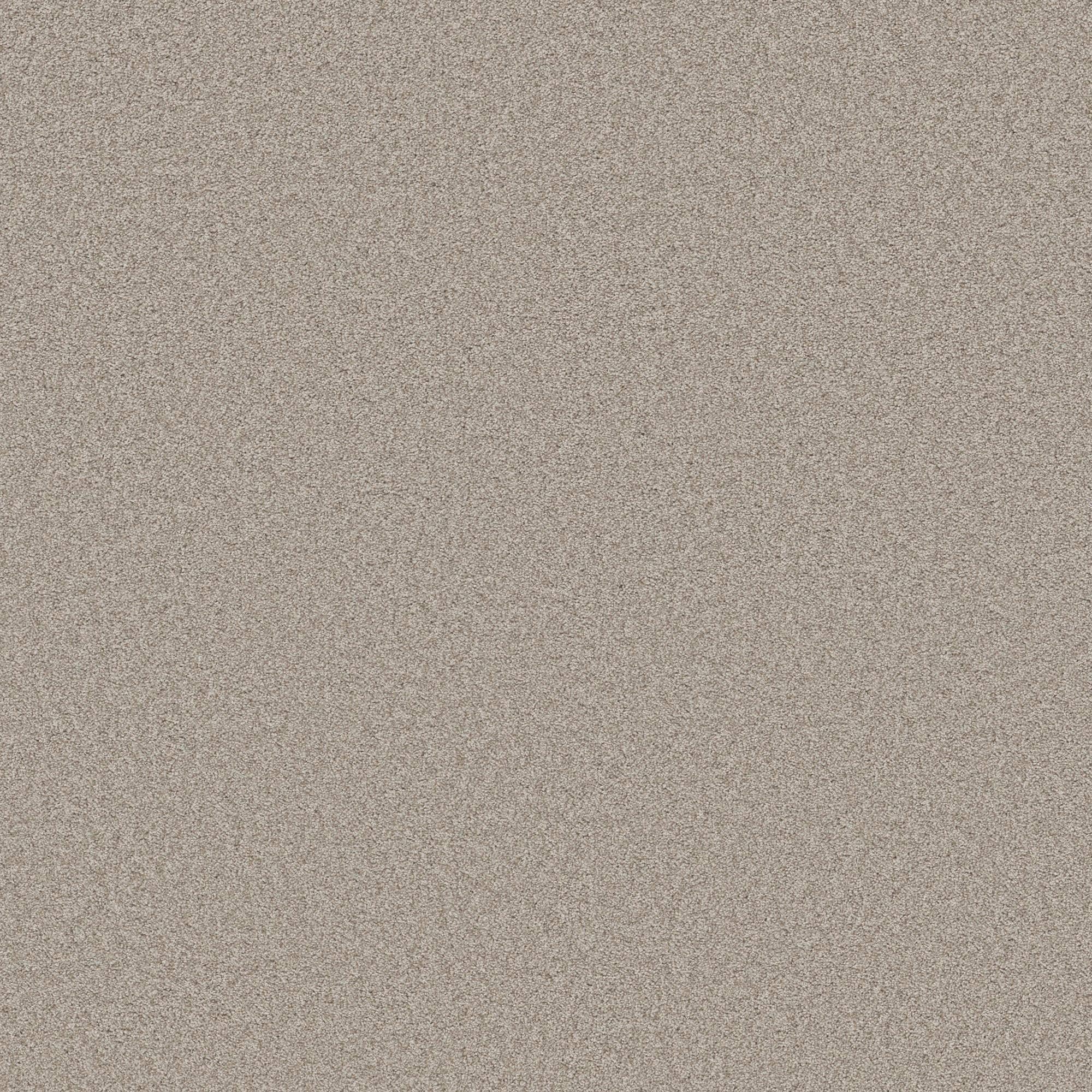 Shaw Del Rio II Carpet in Baltic Stone