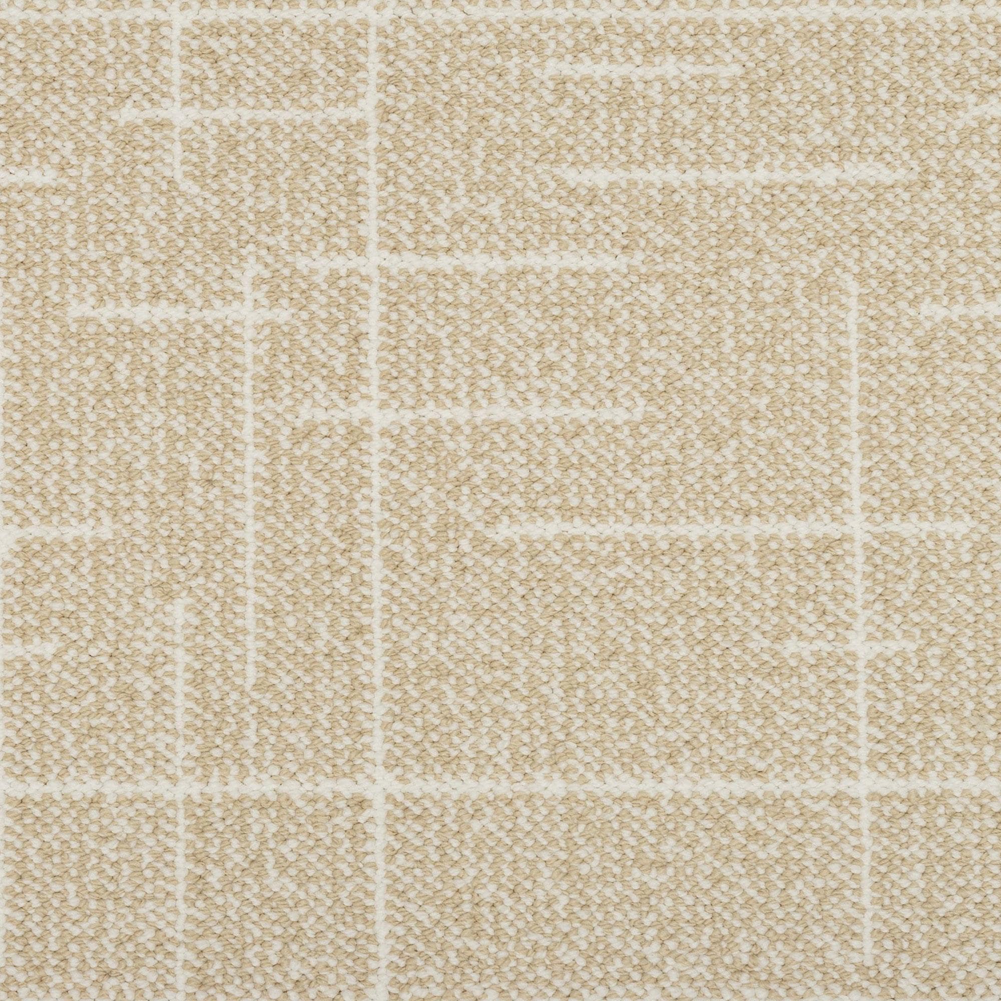 Mohawk Tessellation Carpet in Entrance