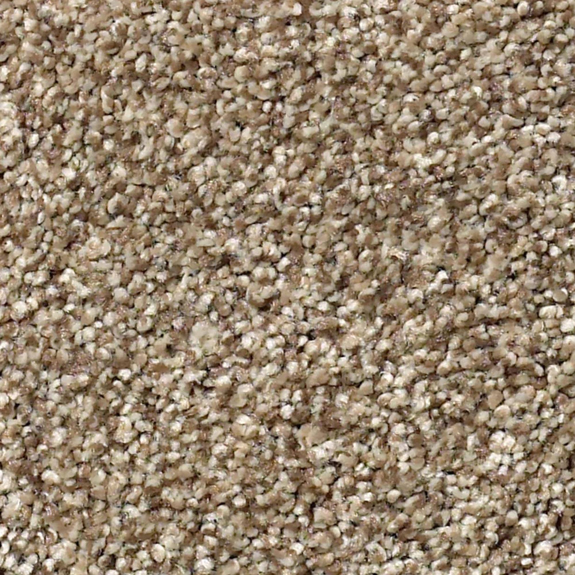 Shaw Tonal Comfort Blue Carpet in Camping Trip