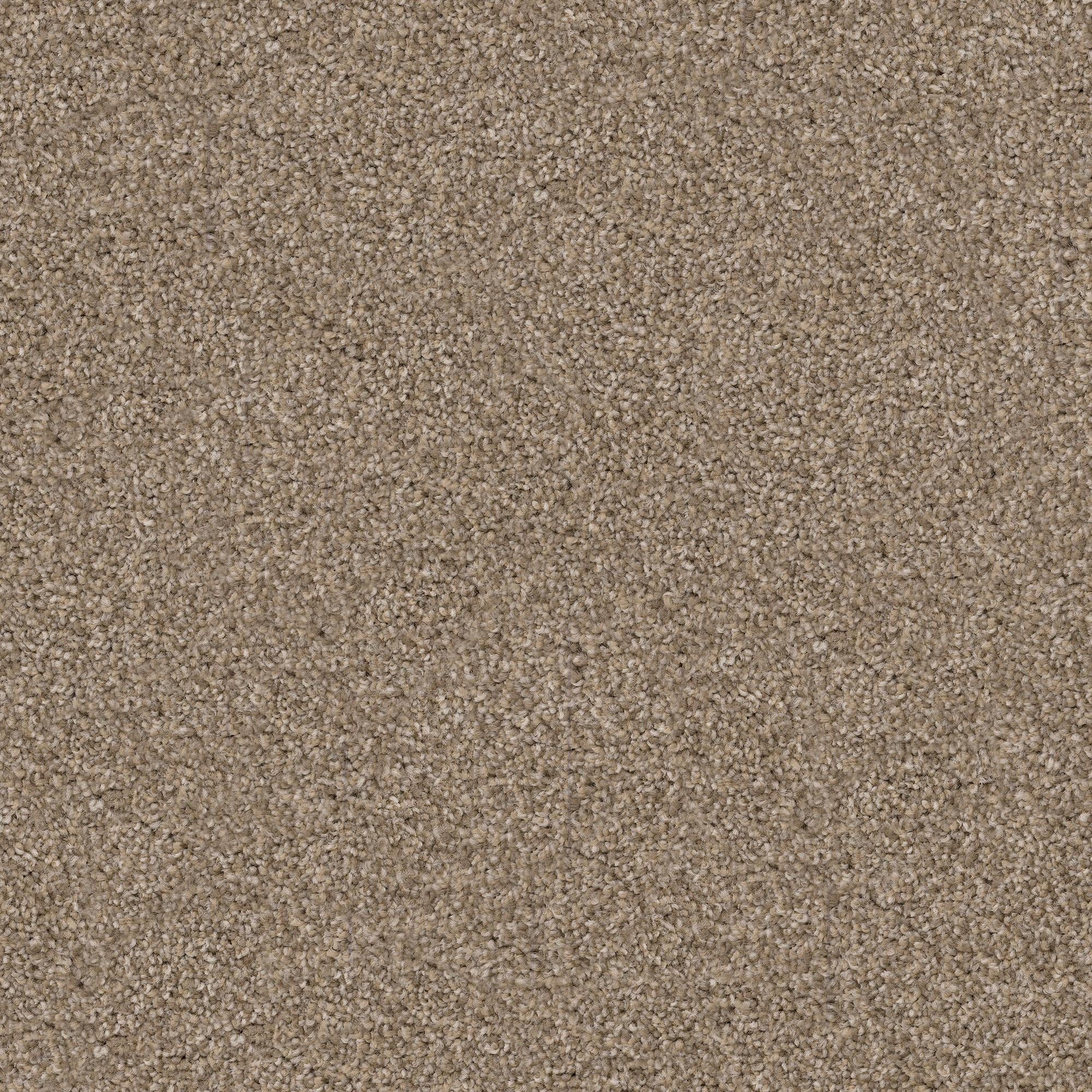 Dixie Home Herder Carpet in Shar-Pei