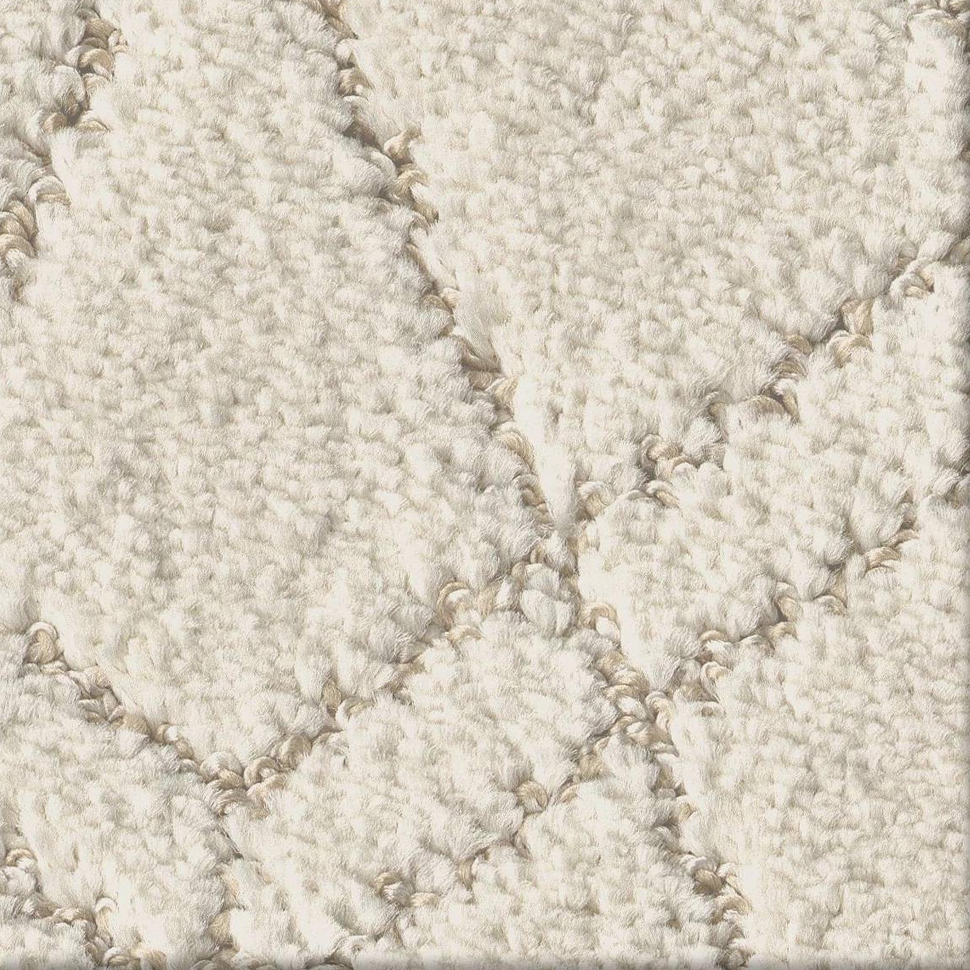 Shaw Point of View Carpet in Natural