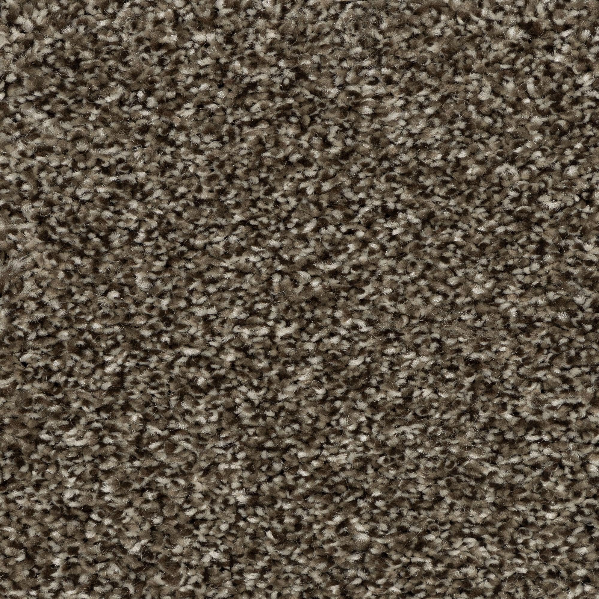 Mohawk Sand in Your Toes Carpet in River Rock