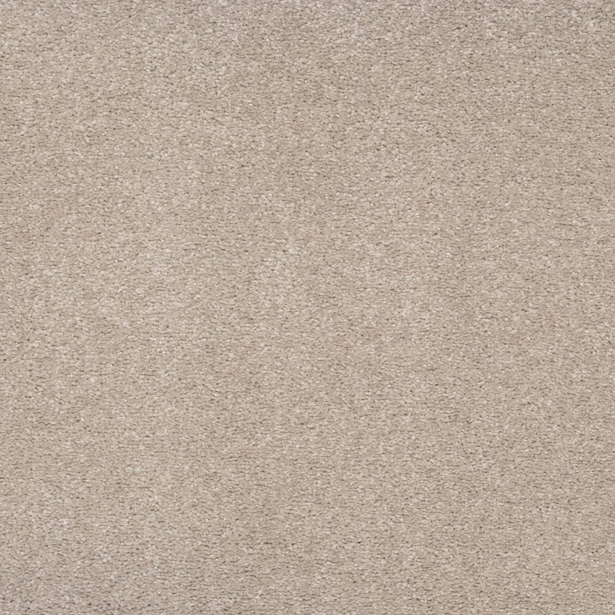 Karastan Sensational Allure Carpet in Hearth Beige
