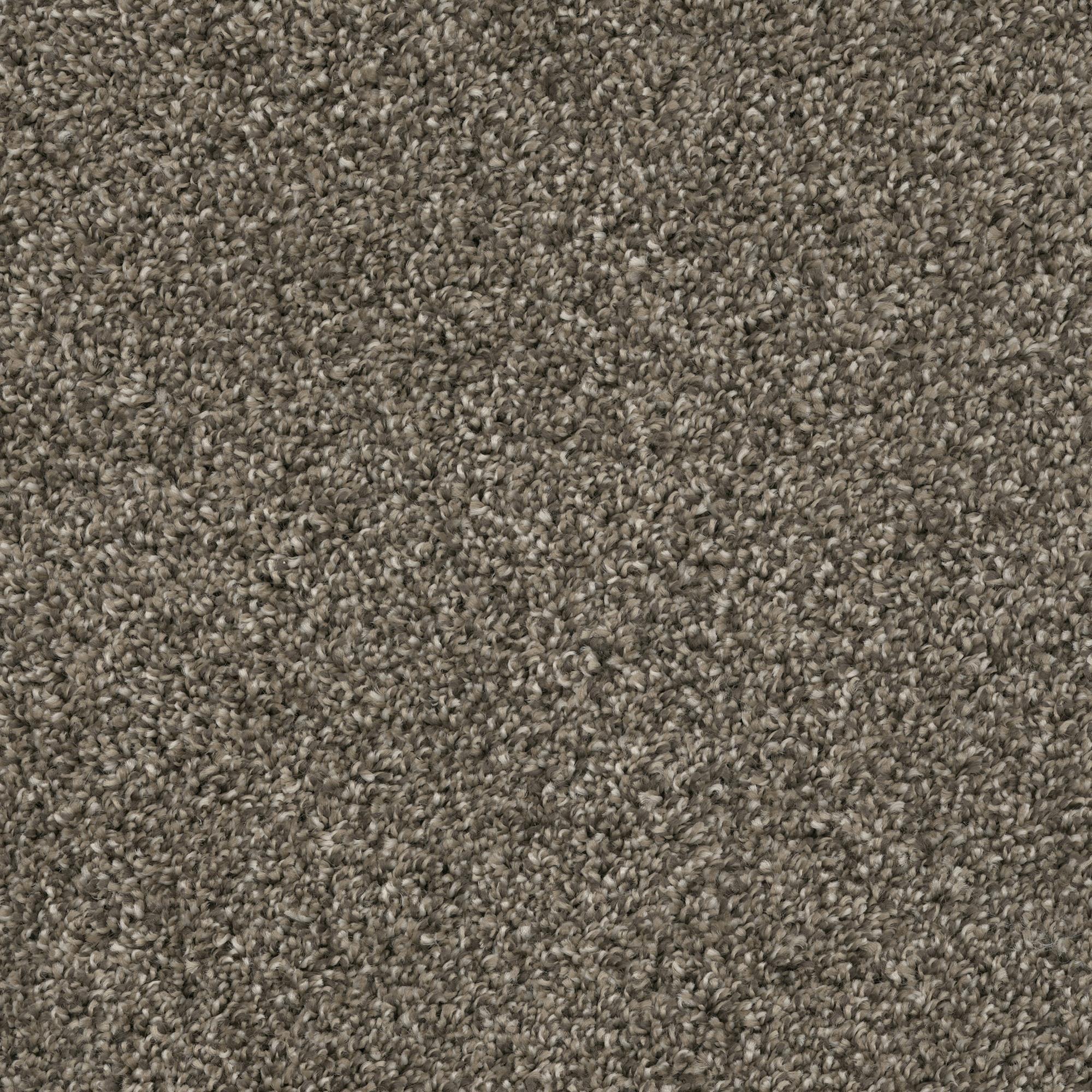 Dixie Home Main Force Carpet in Boulder