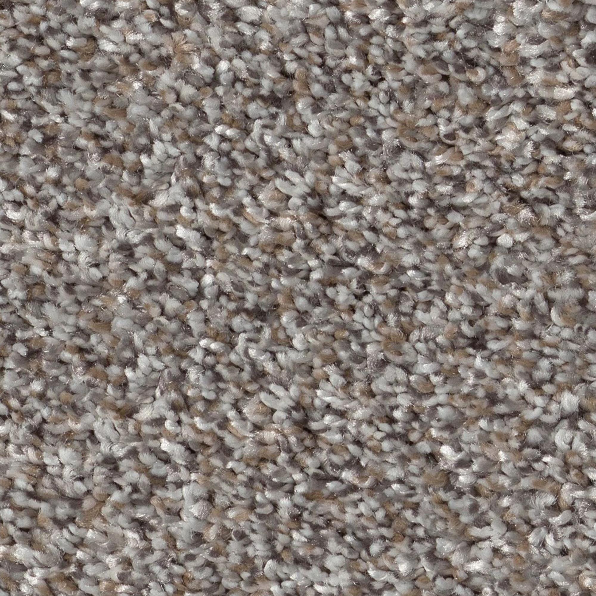 Shaw Higher Ground II Carpet in River Rock