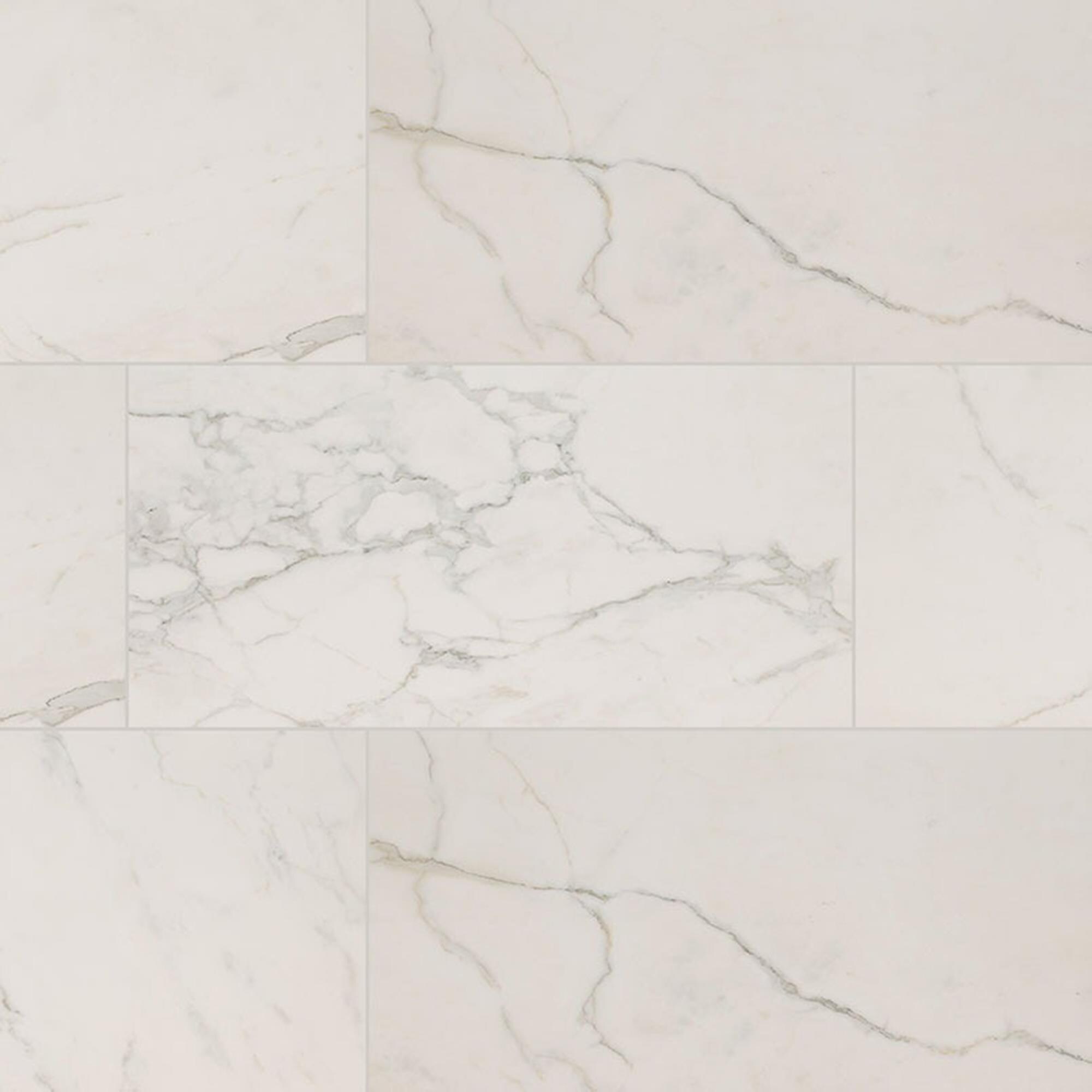 MS International Regallo Calacatta Isla 24" x 48" Polished Porcelain ...