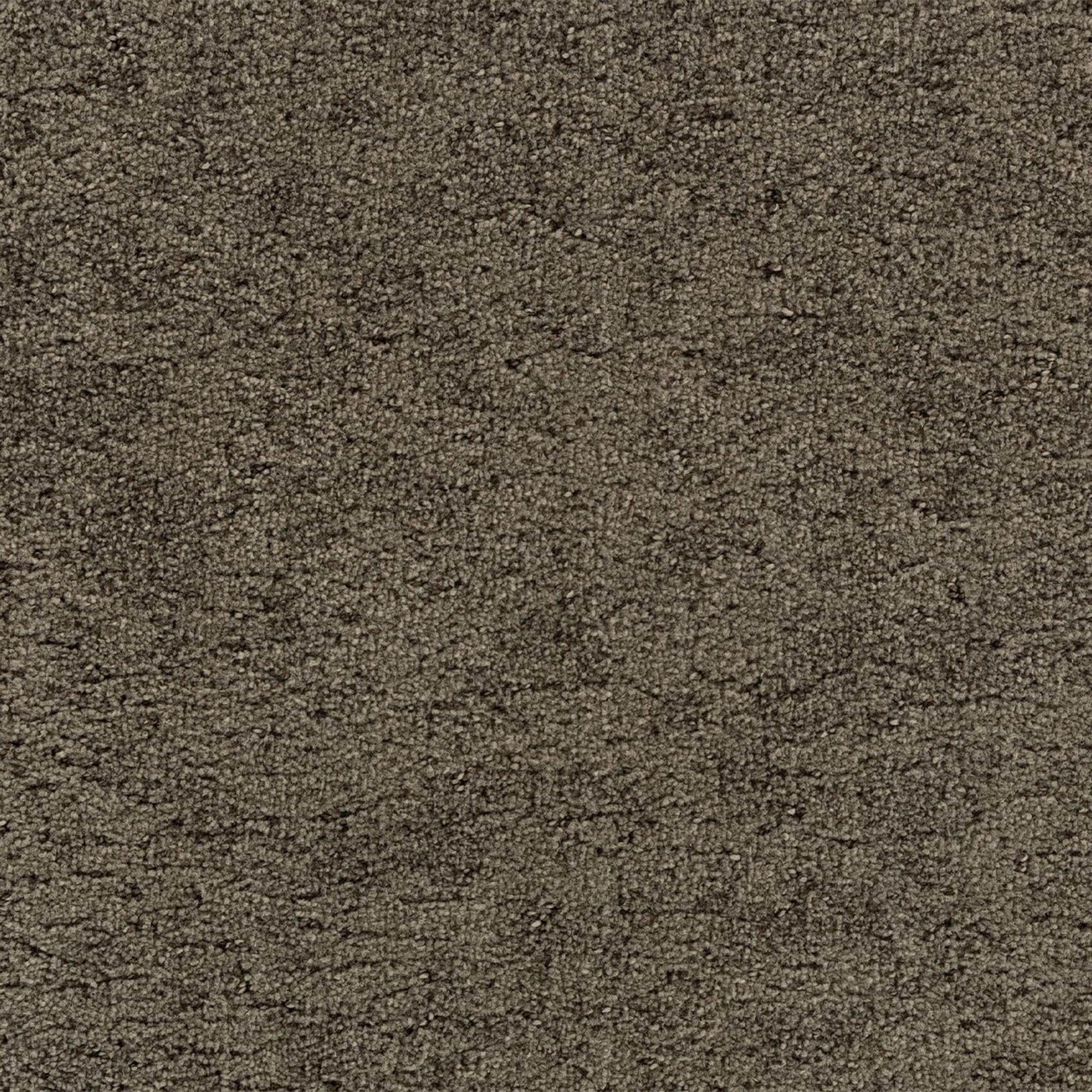 Godfrey-Hirst Inspiring Selection Carpet in Mineral