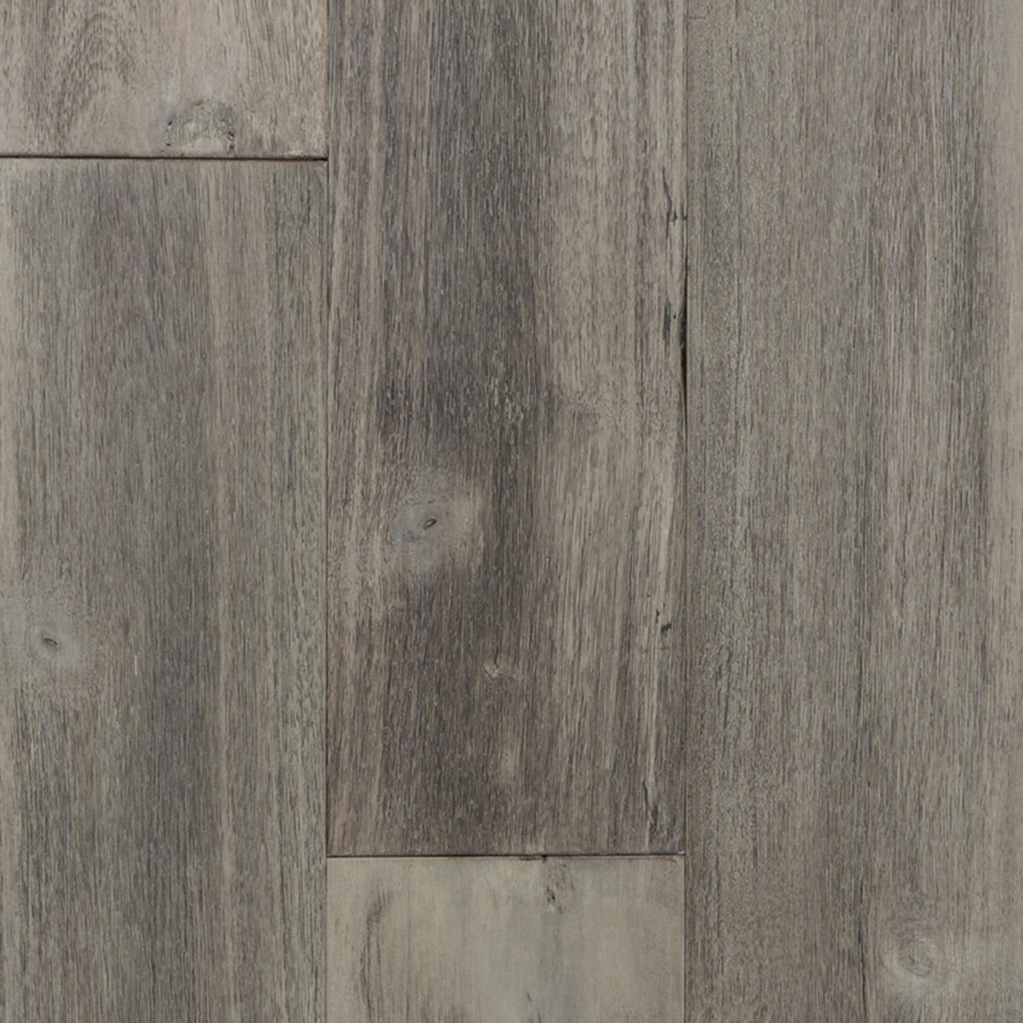 Provenza Wood Modern Rustic Sand Dollar Acacia Hardwood | NFM