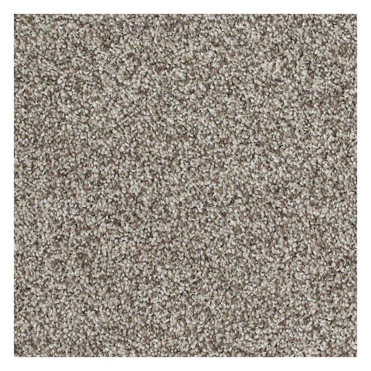 Shaw Detailed Tonal Carpet in Rocky Coast