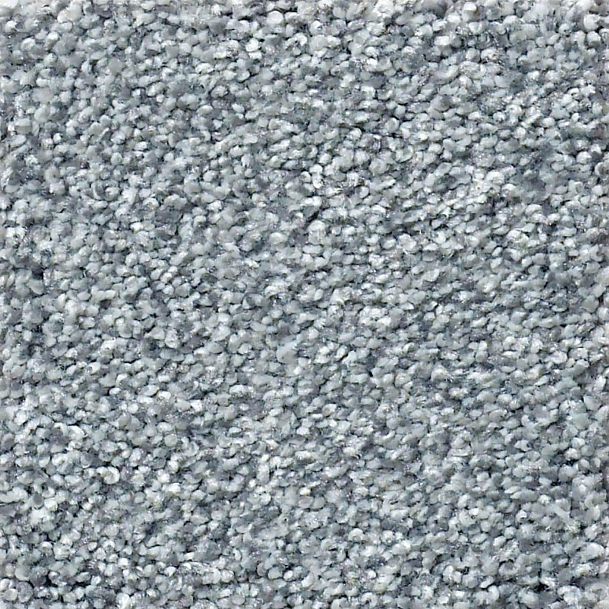 Shaw Find Your Comfort TT Blue Carpet in Dolphin Sighting