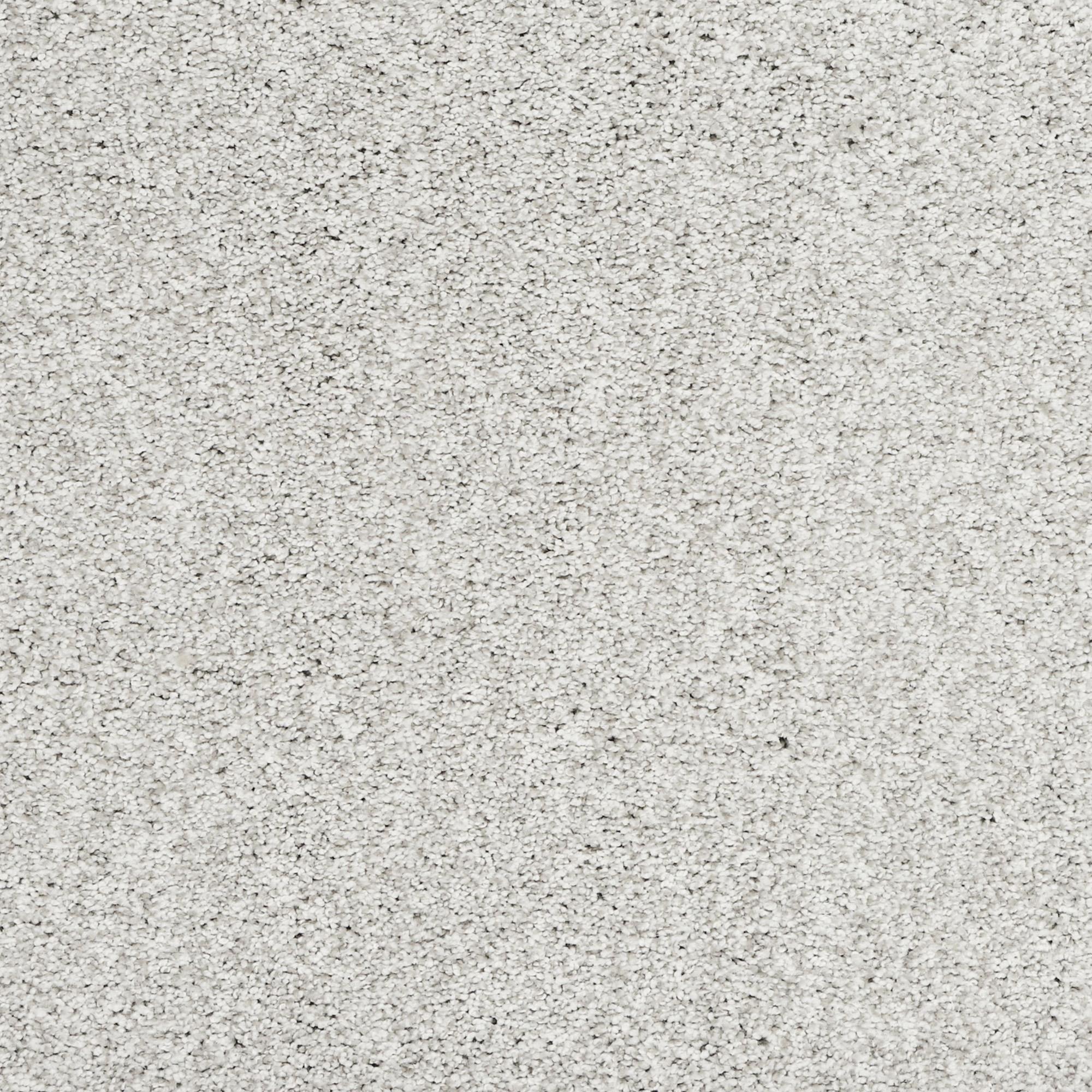 Godfrey-Hirst Enduring Elements Carpet in Starlet