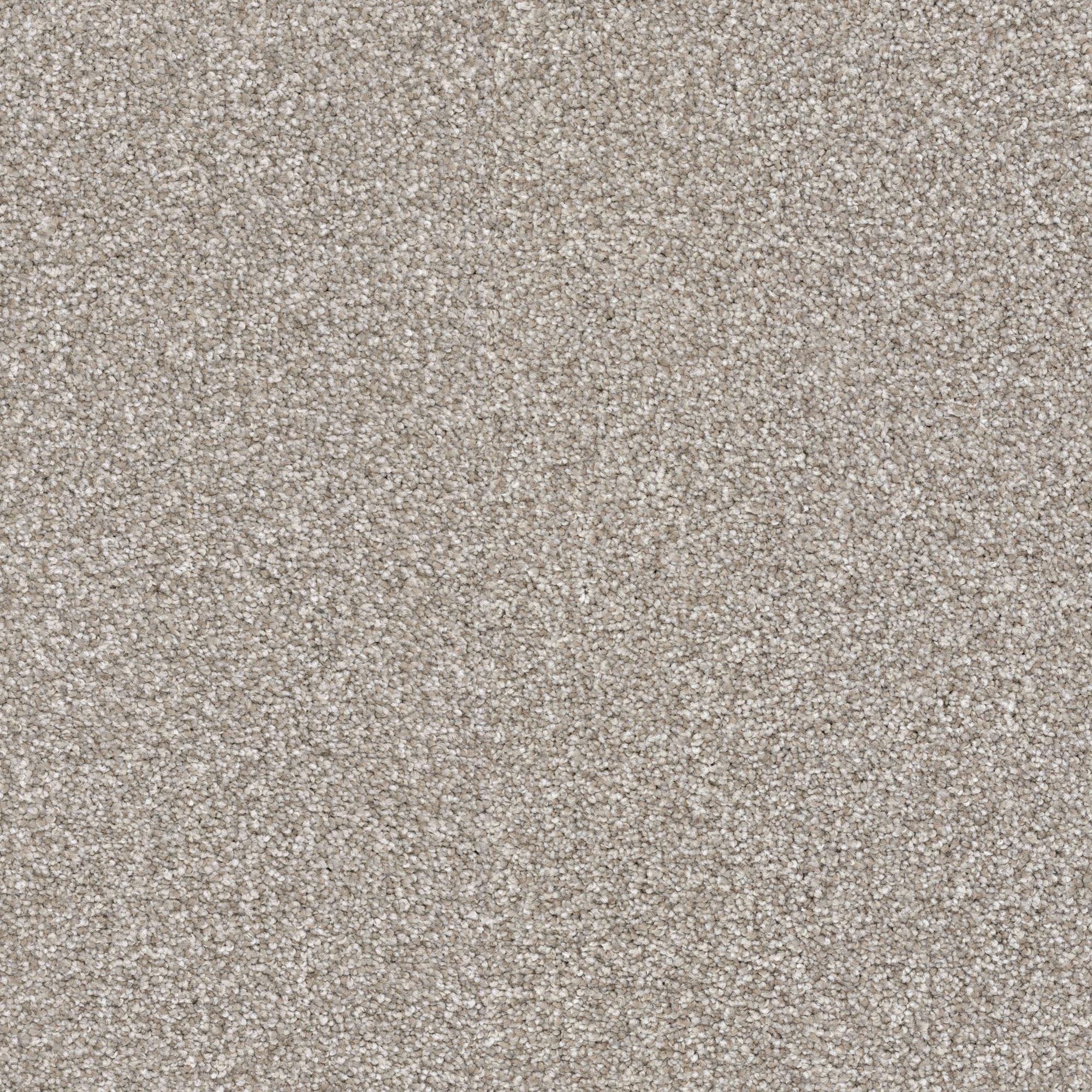 Masland Falcon Crest Carpet in Benji