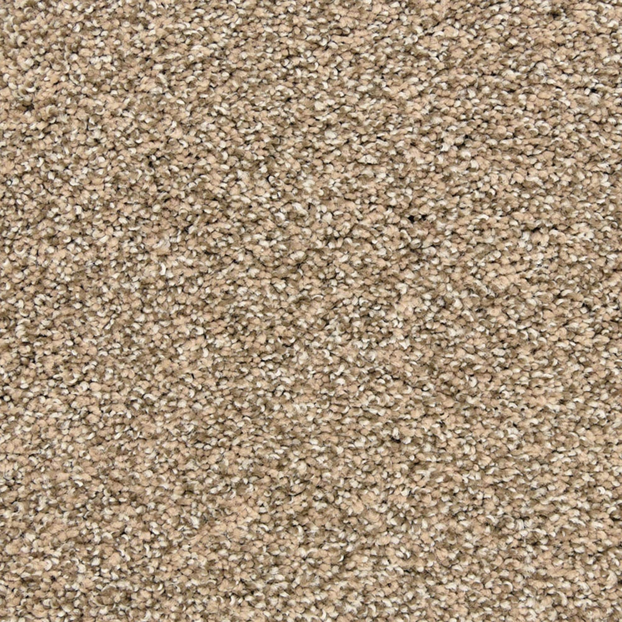 Dixie Home Natural Beauty Carpet in Fawn