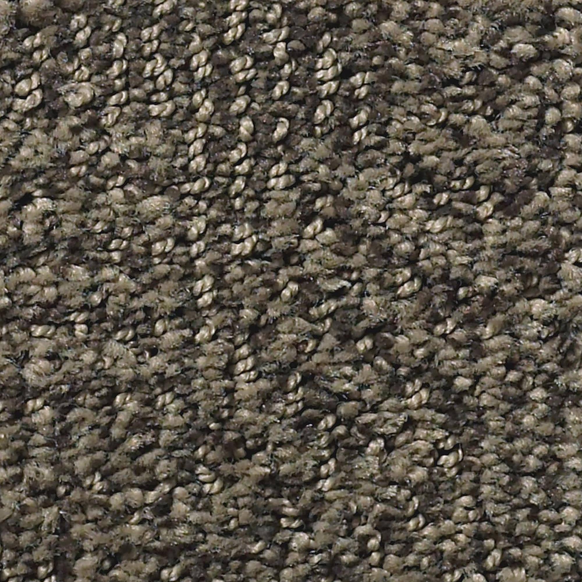 Anderson Tuftex Luna Carpet in Apparition