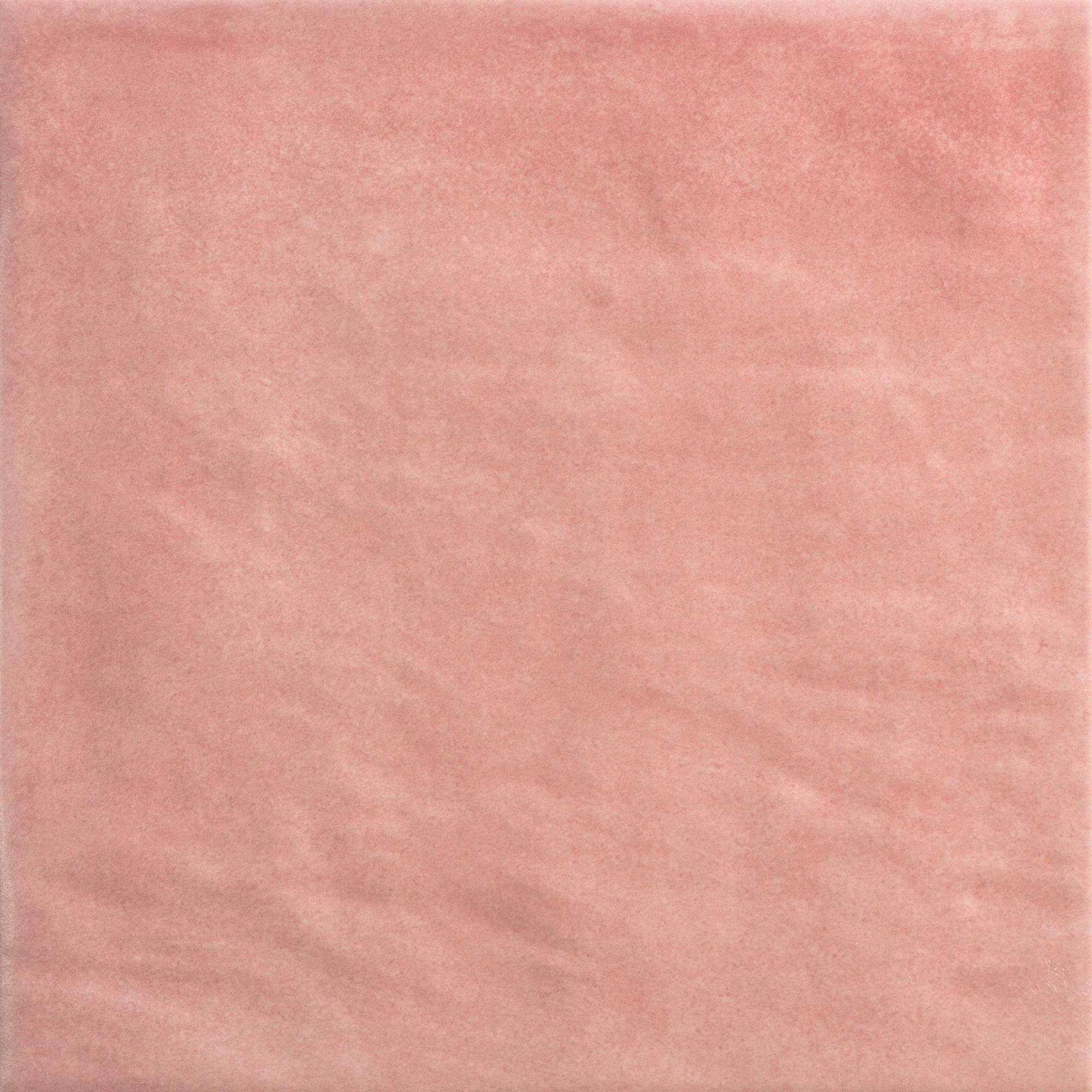 Emser Passion Rosa 9" x 9" Matte Porcelain Tile