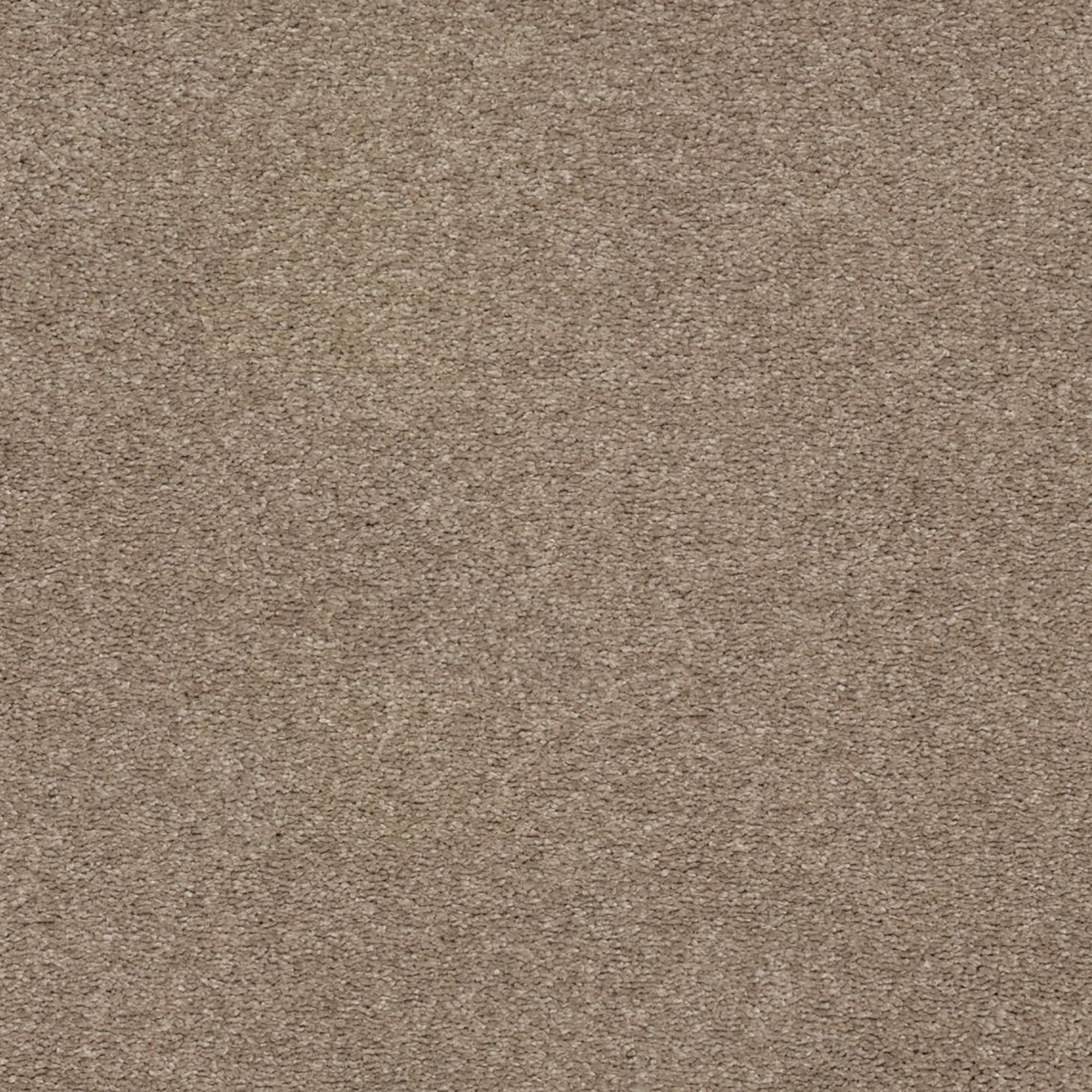 Karastan Sensational Allure Carpet in Sundial