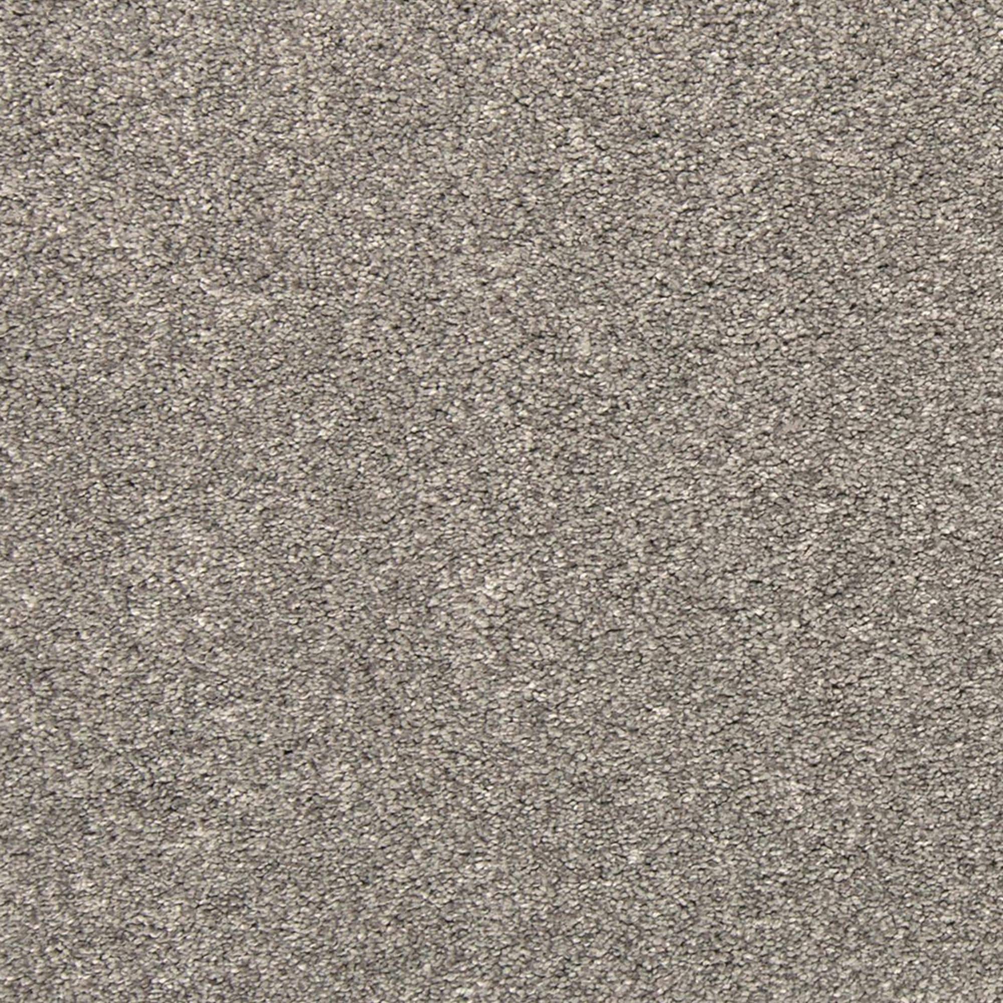 Mohawk Bold Creation Carpet in Winter Ash