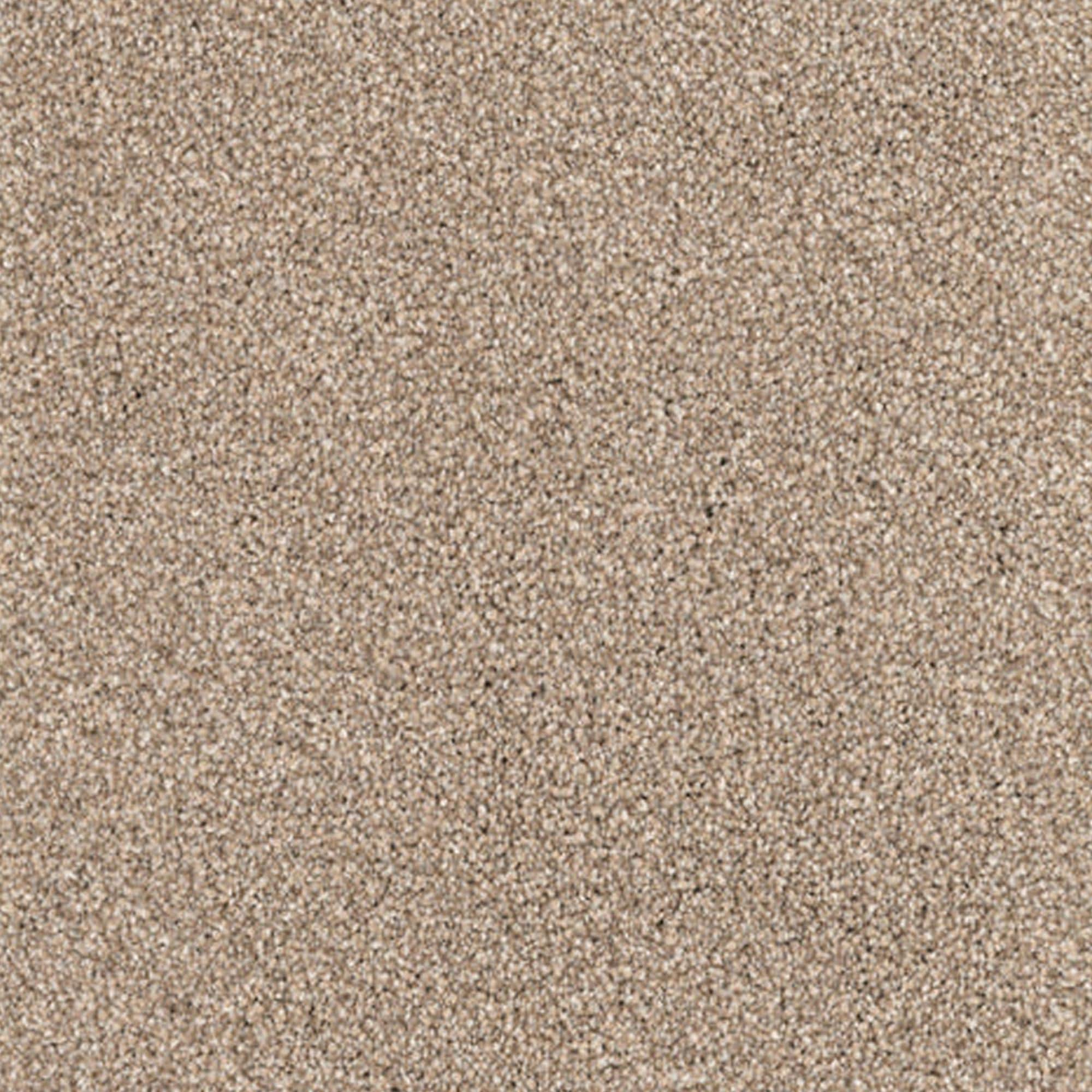 Dixie Home Maverick Carpet in Shar-pei